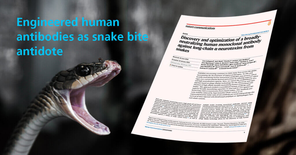 Revolutionary antivenom: Nav1.8 non-opioid chronic pain drugs