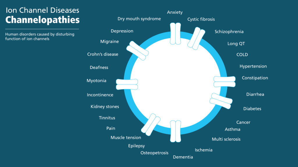 Explore research in Channelopathies with Automated Patch Clamp