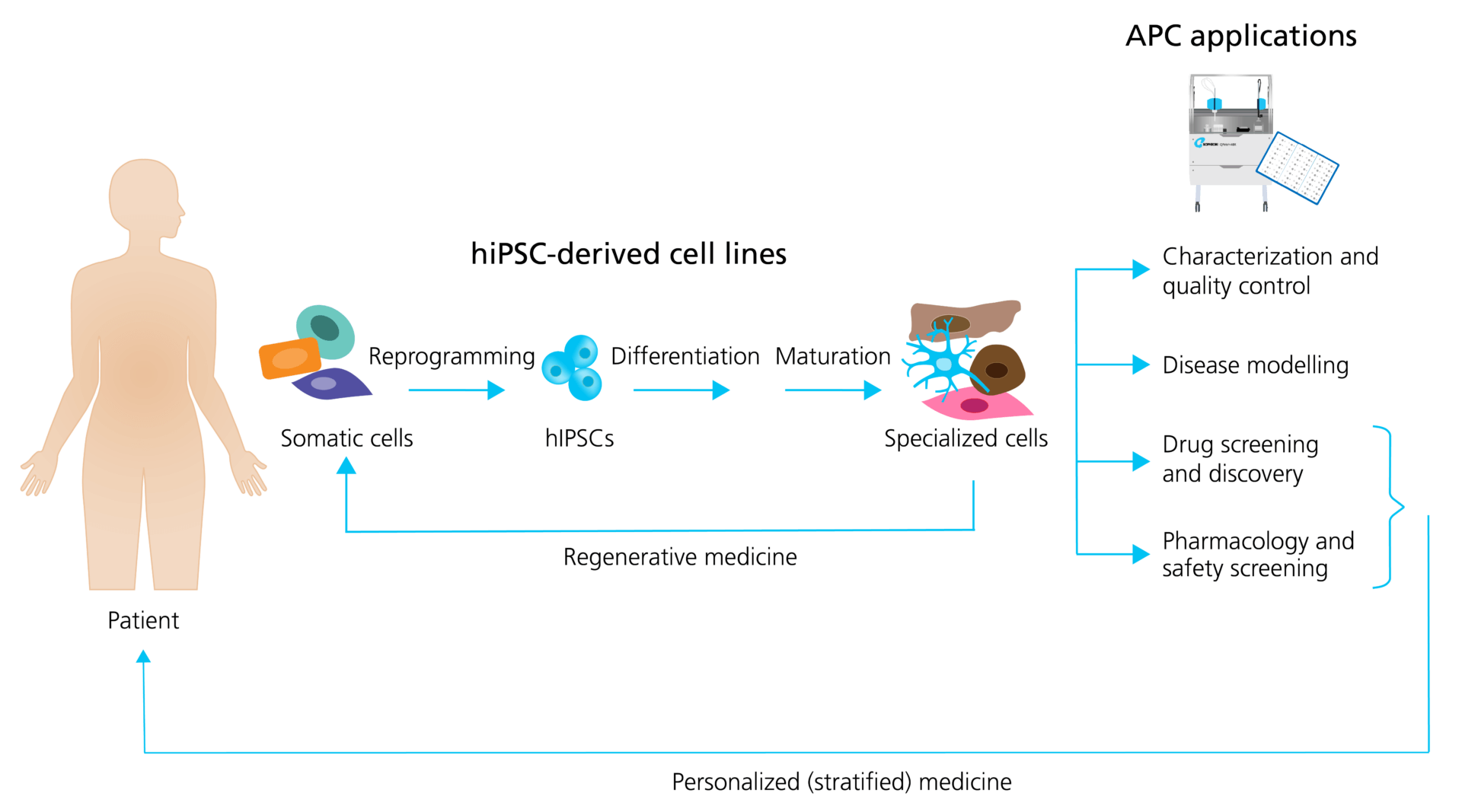 Optimize hiPSC-derived cell lines with Sophion's automated patch clamp