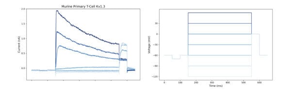Organelles & small cells with Sophion automated patch clamp