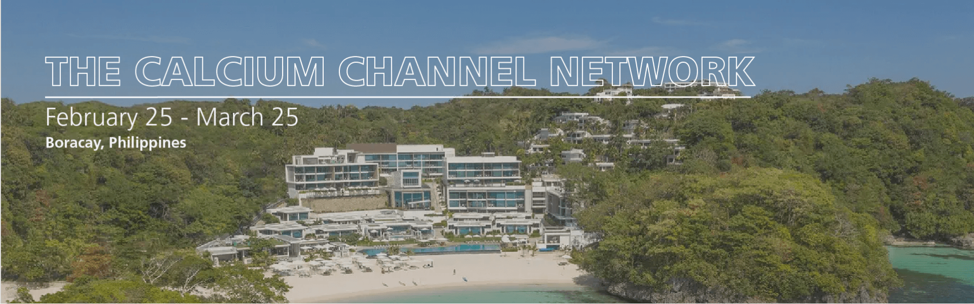 The Calcium Channel Network - Sophion